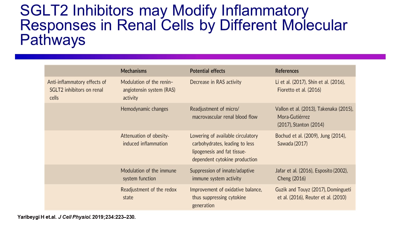 Expert Insights for Primary Care Physicians in Managing Chronic Kidney ...