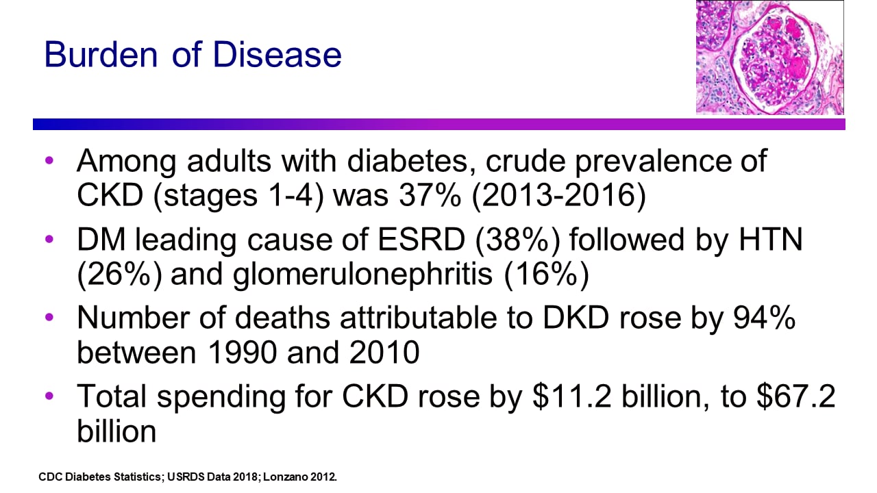 Expert Insights for Primary Care Physicians in Managing Chronic Kidney ...