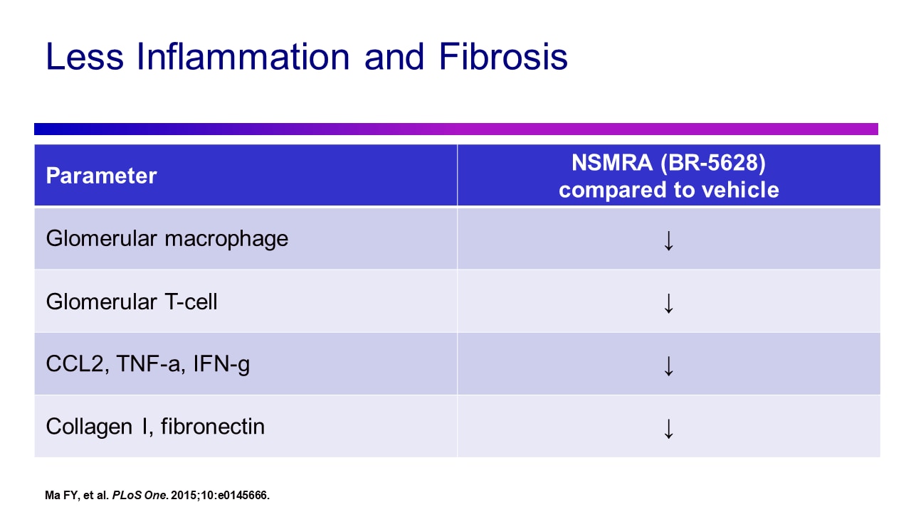 Expert Insights for Primary Care Physicians in Managing Chronic Kidney ...