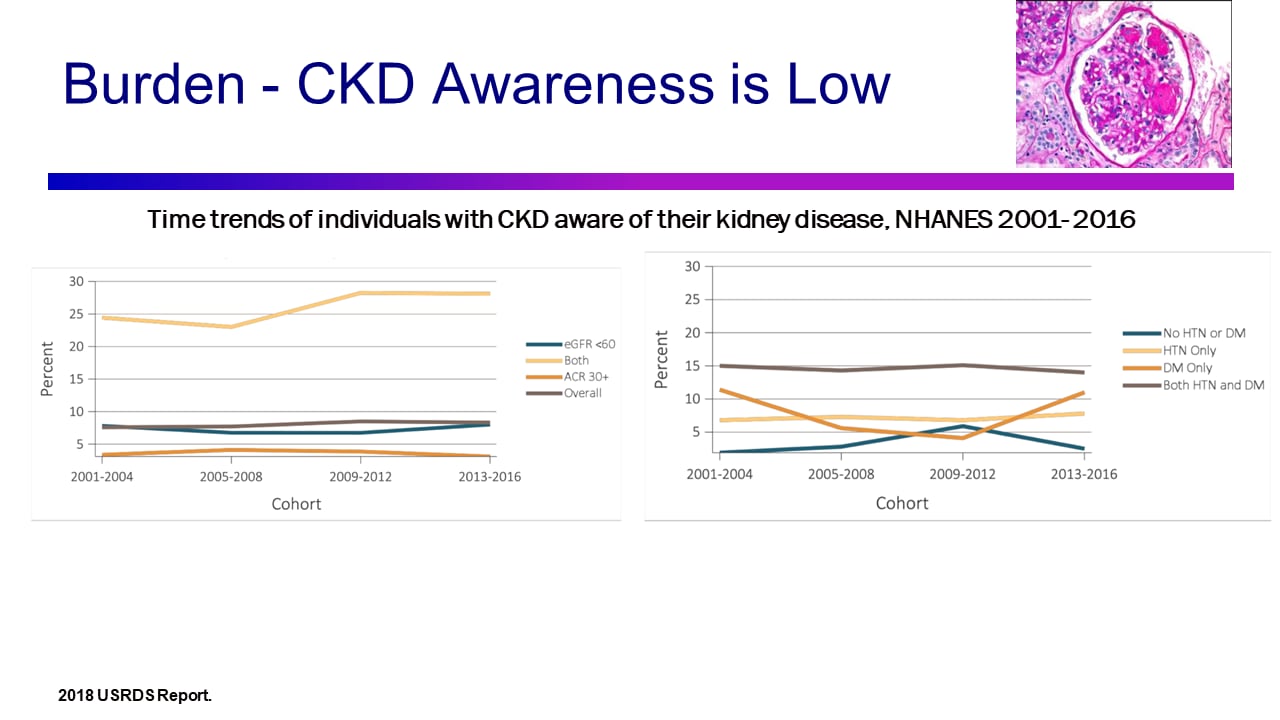 Expert Insights for Primary Care Physicians in Managing Chronic Kidney ...