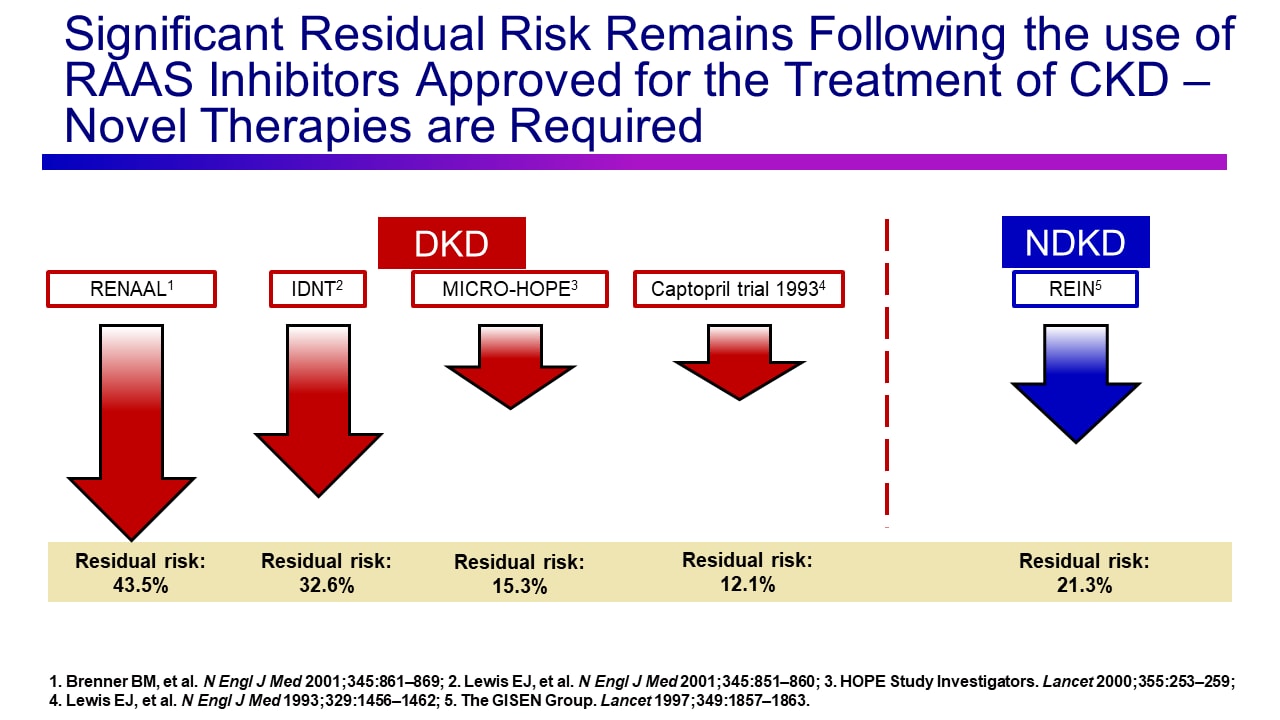 Expert Insights for Primary Care Physicians in Managing Chronic Kidney ...