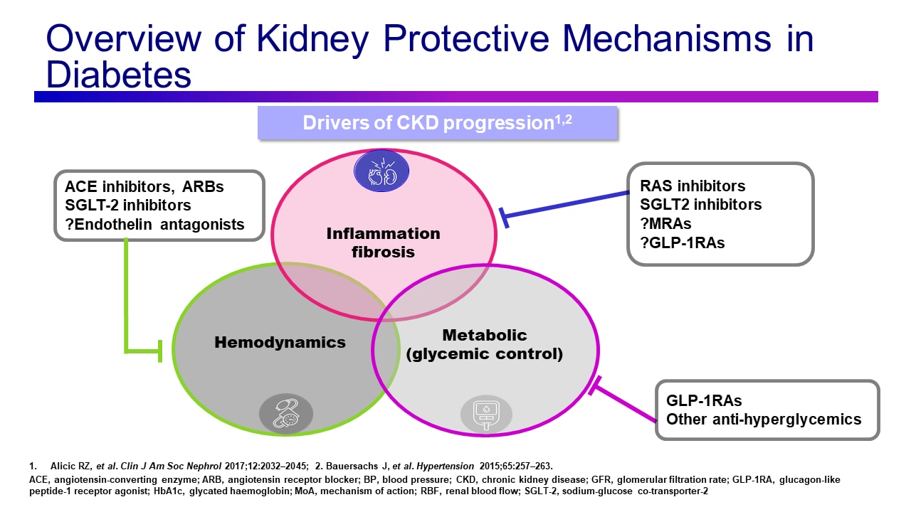 Expert Insights for Primary Care Physicians in Managing Chronic Kidney ...
