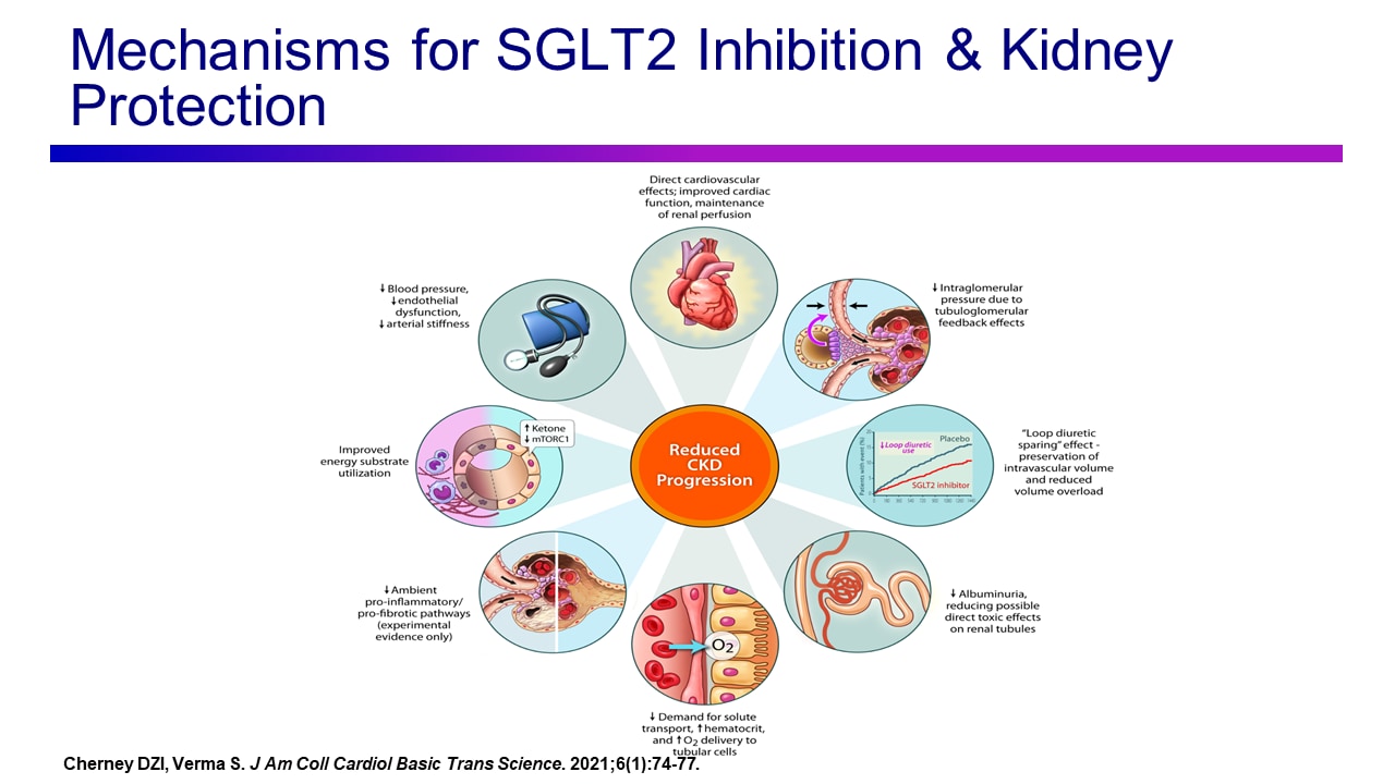 Expert Insights for Primary Care Physicians in Managing Chronic Kidney ...