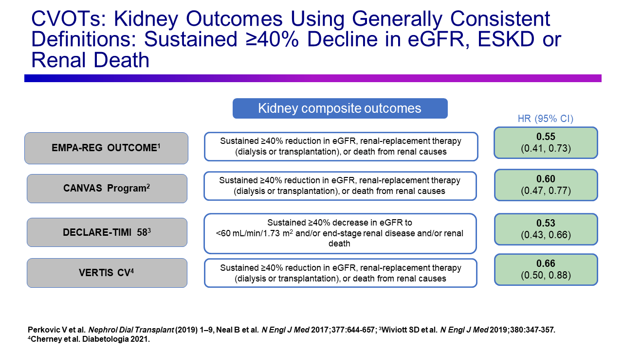 Expert Insights for Primary Care Physicians in Managing Chronic Kidney ...