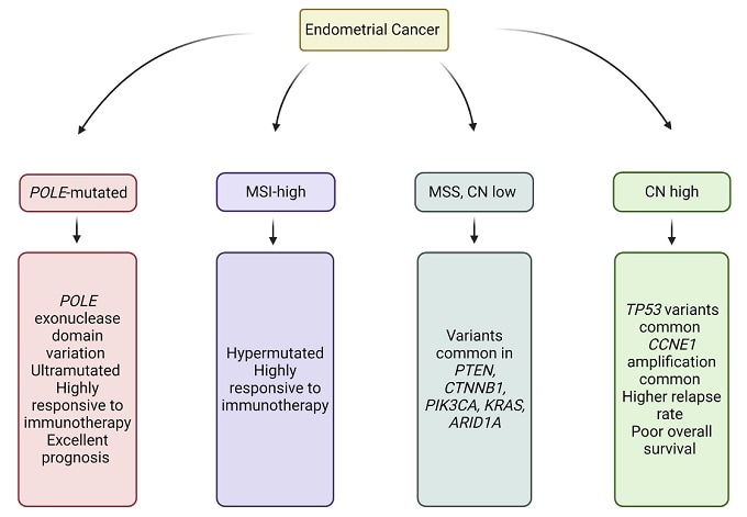 An Expert Perspective: Managing Advanced/Recurrent Endometrial Cancer