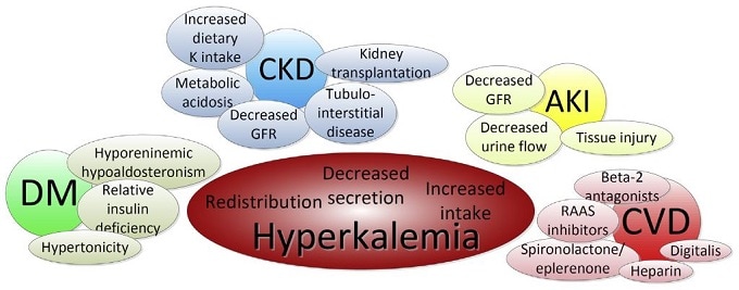 Potassium Management Across Clinical Settings