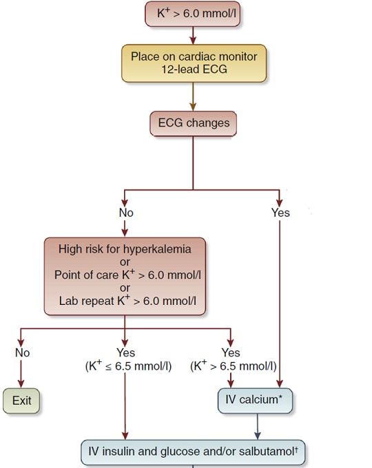 Potassium Management Across Clinical Settings