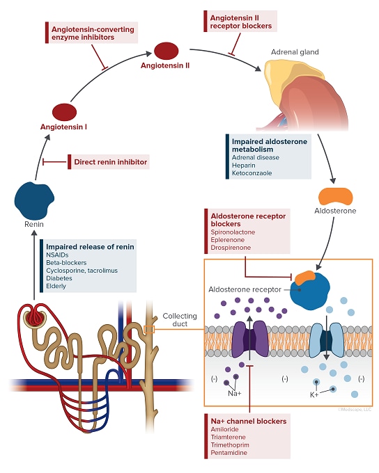 Potassium Management Across Clinical Settings