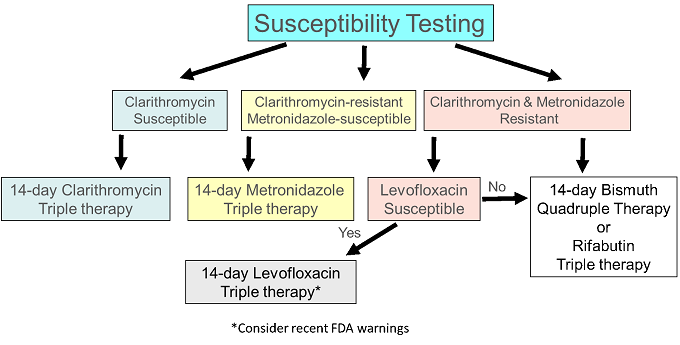 Optimizing the Management of Helicobacter pylori Infections