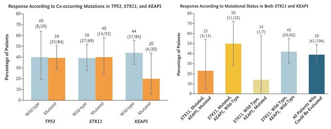 Effectively Managing KRAS-Mutated Non-Small Cell Lung Cancer ...