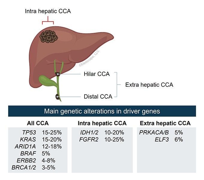 Emerging Pathways in Advanced Cholangiocarcinoma