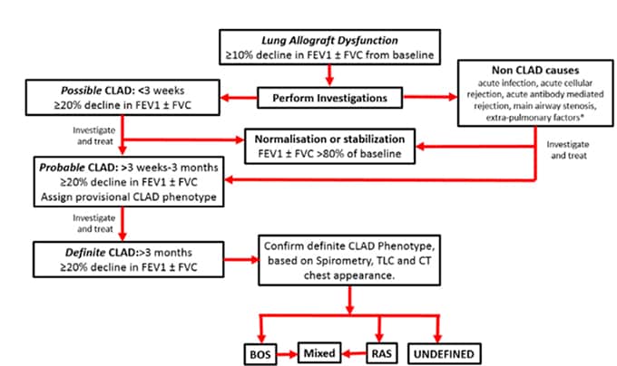 New Frontiers in Lung Transplant Rejection Monitoring