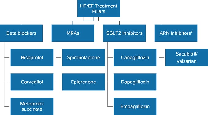 Guideline Updates In Heart Failure Expert Breakdown Of Key Takeaways