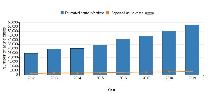 Hepatitis C Virus Disparities: Strategies for Bridging the Gap