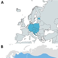 Systematic Review and Meta-Analysis of Foodborne Tick-Borne ...