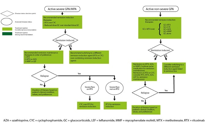 Case Challenges in Small-Vessel Vasculitis: Can You Diagnose and Manage ...
