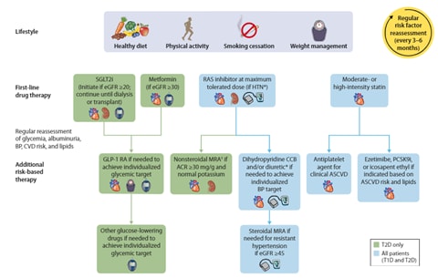 Real-Life Cases of Patients With Type 2 Diabetes and Chronic Kidney ...