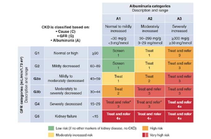 Real-Life Cases of Patients With Type 2 Diabetes and Chronic Kidney ...