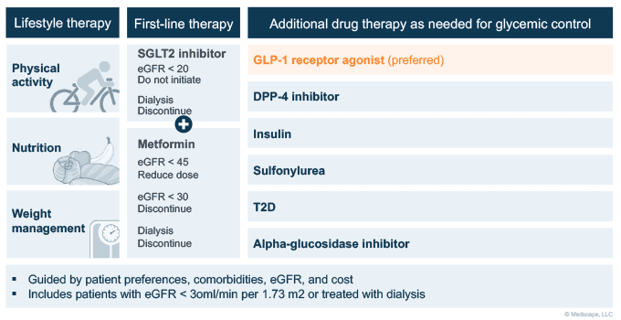 Real-Life Cases of Patients With Type 2 Diabetes and Chronic Kidney ...