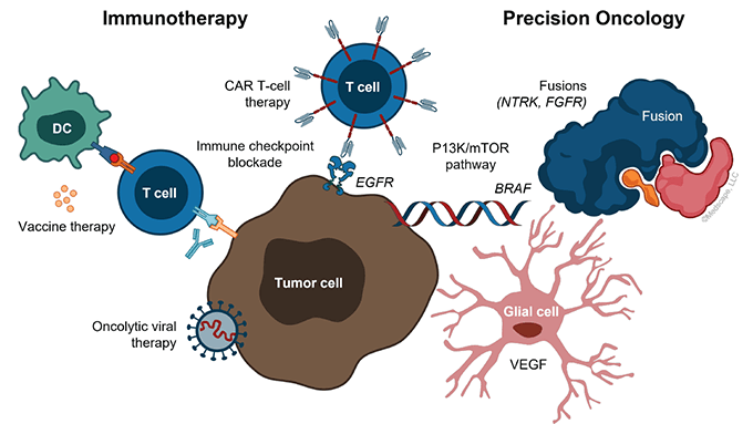 Neuro-Oncology Updates: Insights on the Diagnosis and Management of Low ...