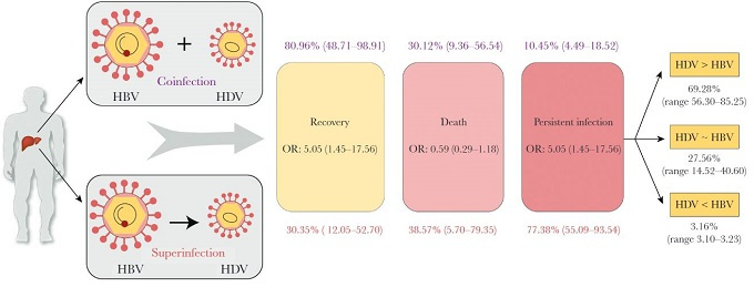 Management of Patients With Hepatitis D: Practical Patient Cases to ...