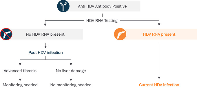 Management of Patients With Hepatitis D: Practical Patient Cases to ...