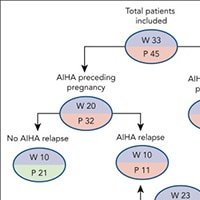 Autoimmune Hemolytic Anemia During Pregnancy and Puerperium: An ...