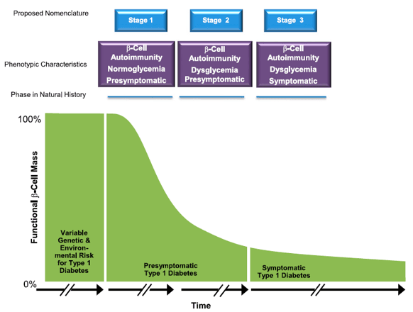 Beyond the Basics of Type 1 Diabetes