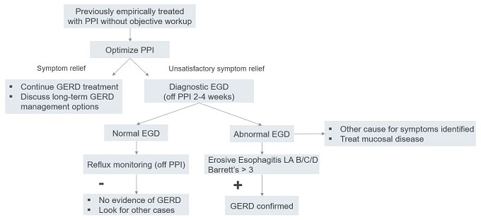 Updates in the Management of Erosive Esophagitis