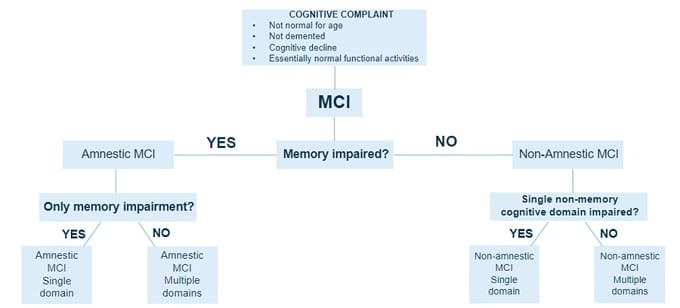 Case Challenges in the Early Identification of Cognitive Impairment ...