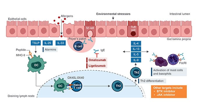 Exploring Emerging Food Allergy Treatments: At the Cutting Edge of Care