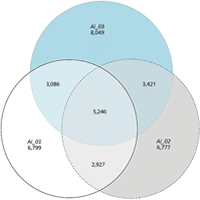 Auritidibacter ignavus, an Emerging Pathogen Associated with Chronic ...