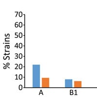 Early-Onset Infection Caused by Escherichia coli Sequence Type 1193 in ...