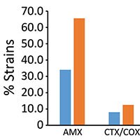 Early-Onset Infection Caused by Escherichia coli Sequence Type 1193 in ...
