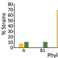 Early-Onset Infection Caused by Escherichia coli Sequence Type 1193 in ...
