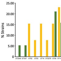 Early-Onset Infection Caused by Escherichia coli Sequence Type 1193 in ...