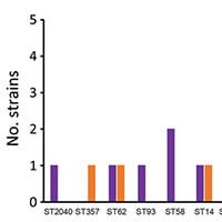 Early-Onset Infection Caused by Escherichia coli Sequence Type 1193 in ...