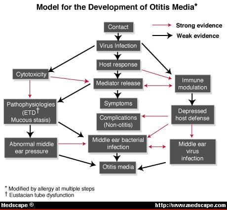 The Interplay Between Otitis Media and Rhinitis in Children - Page 5