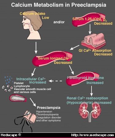 Calcium Metabolism in Preeclampsia: Supplementation May Help - Page 4