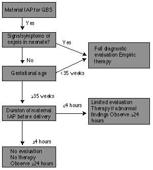 A Revised Strategy for the Prevention of Group B Streptococcal ...