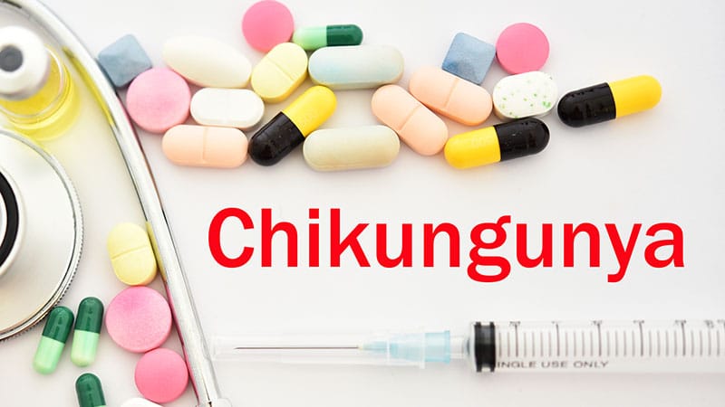 Erster Impfstoff gegen Chikungunya vor der Zulassung