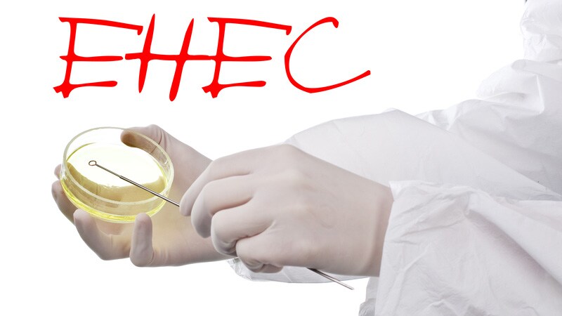 EHEC-Ausbruch; Hochdosis-Grippeimpfstoff schützt das Herz