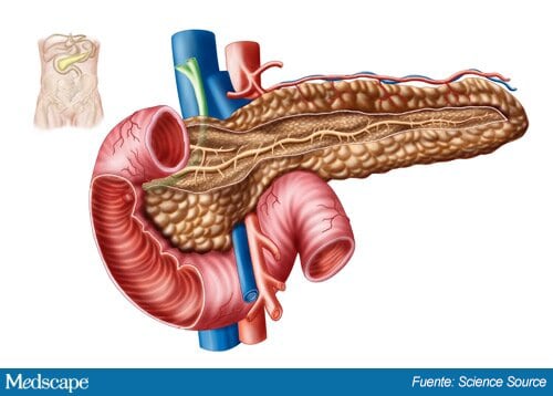 Mini-examen clínico: Presentación y diagnóstico de la insuficiencia ...