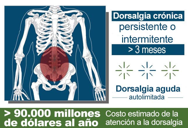 Dorsalgia: encuentre la causa, esté atento a la recidiva