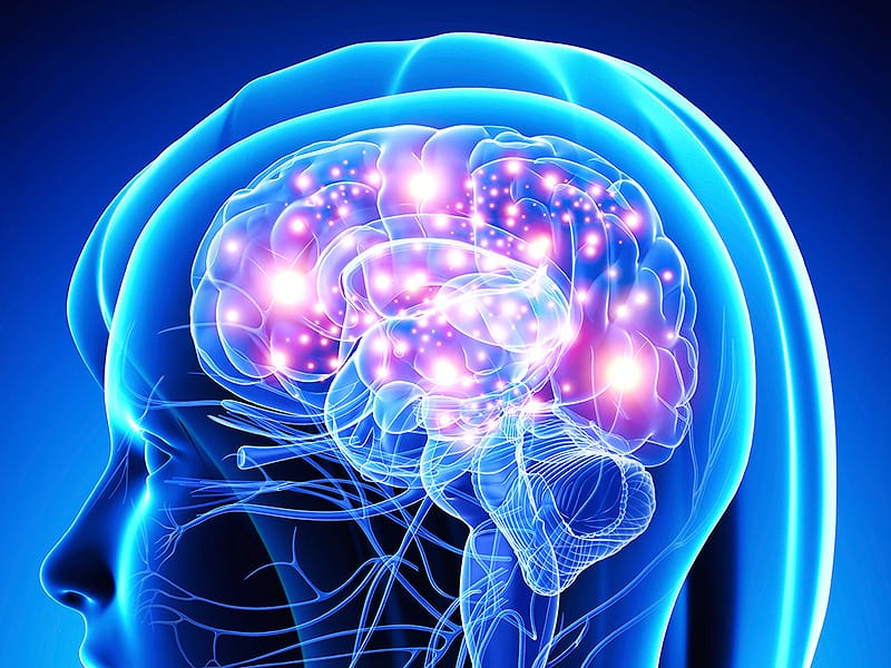 Diferencias en el cerebro de pacientes con el TDAH y el TOC