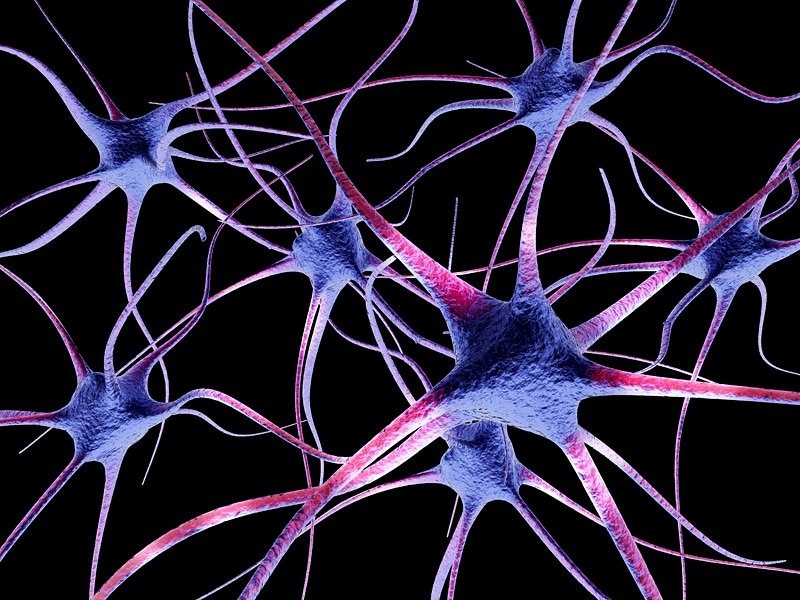 RHAPSODY: Nuevo neuroprotector es seguro con la trombectomía