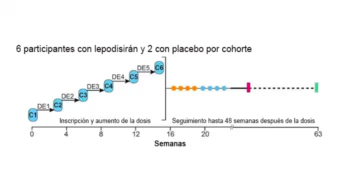 El futuro de la medicina es el ARN