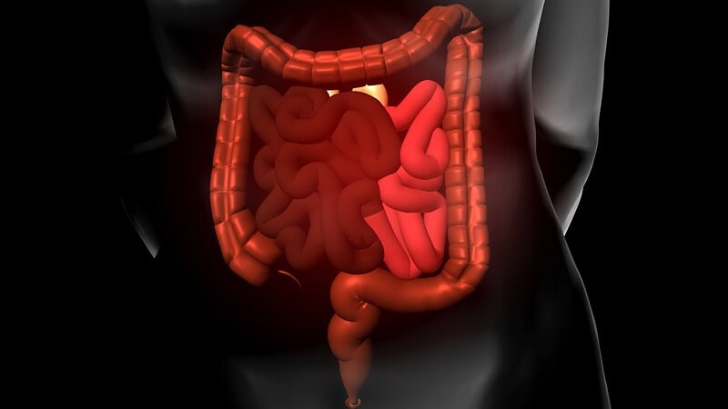 Nuevos síntomas gastrointestinales en pacientes con enfermedad ...