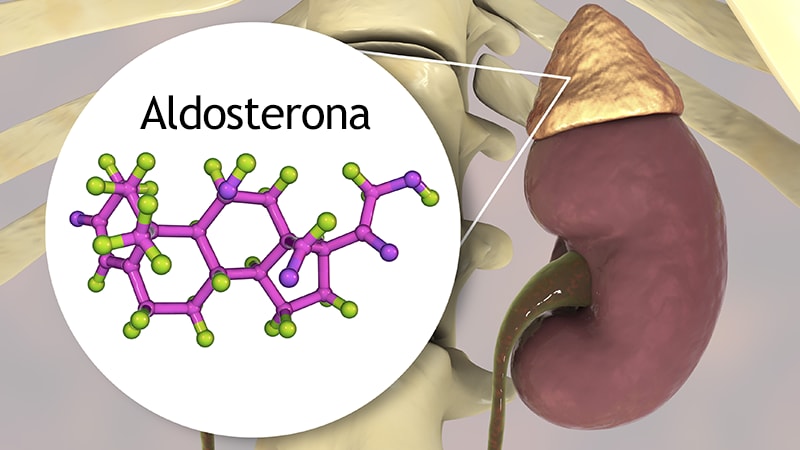 Fundamentos sobre finerenona - Page 2