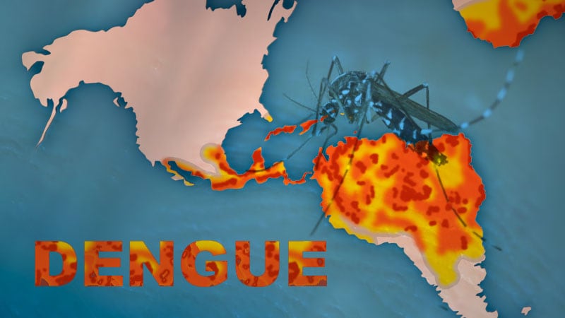 OPS advierte sobre mayor riesgo de brotes de dengue por circulación de ...